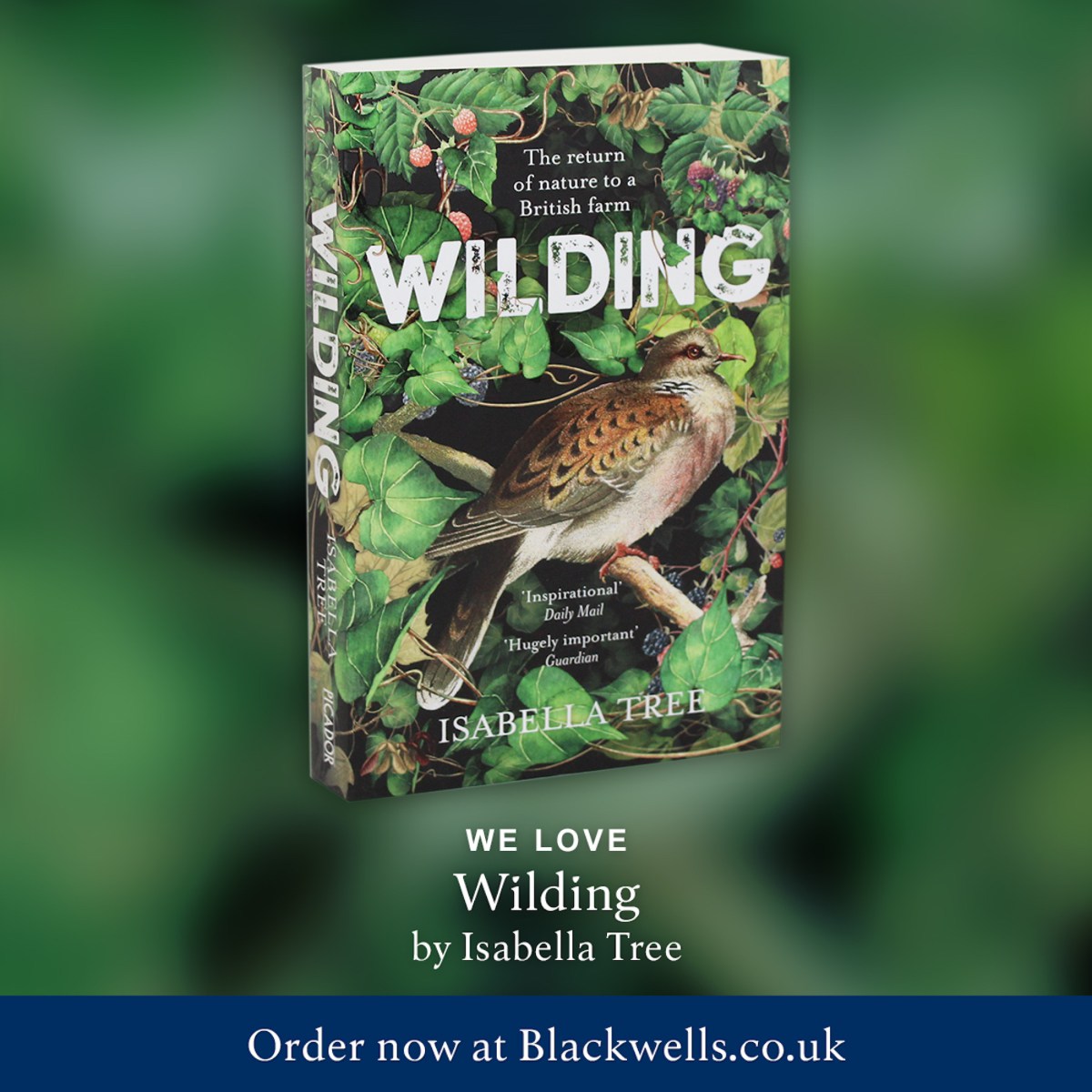 Wilding: A conversation with Isabella Tree | Muriel Murch